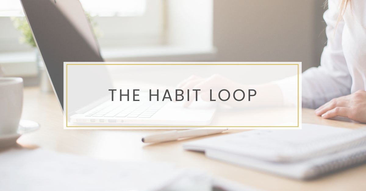 The Habit Loop | William Meller The Habit Loop | William Meller