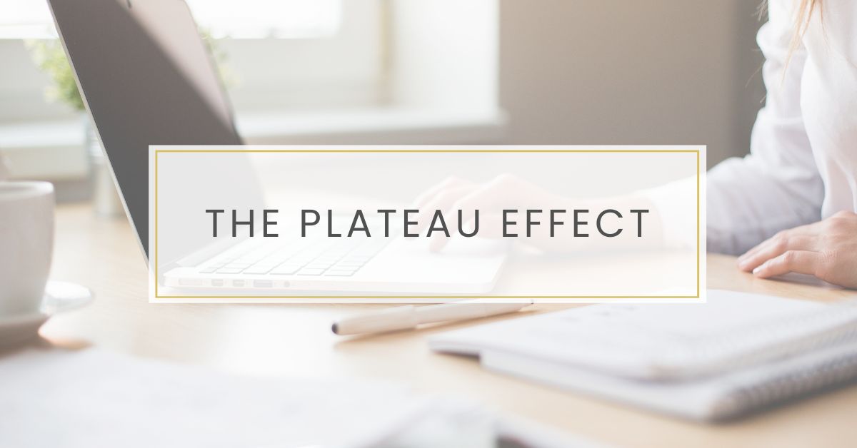 The Plateau Effect | William Meller The Plateau Effect | William Meller