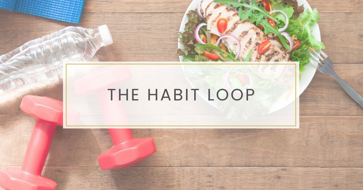 Explaining: The Habit Loop | William Meller Explaining: The Habit Loop | William Meller